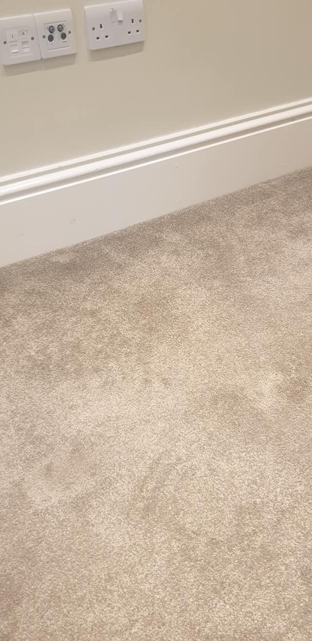 Recent Jobs 🖼️ – Shine Master