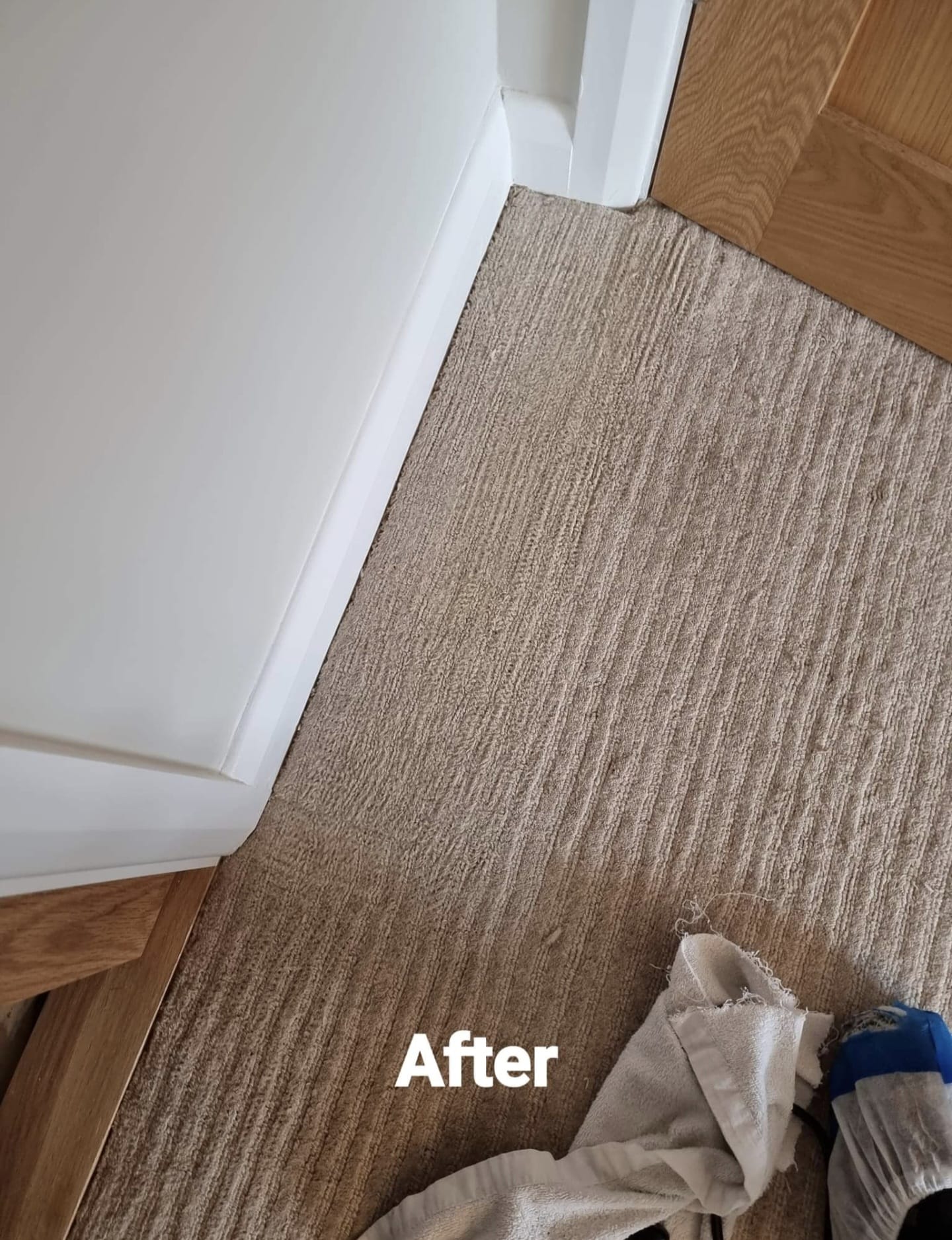 Recent Jobs 🖼️ – Shine Master